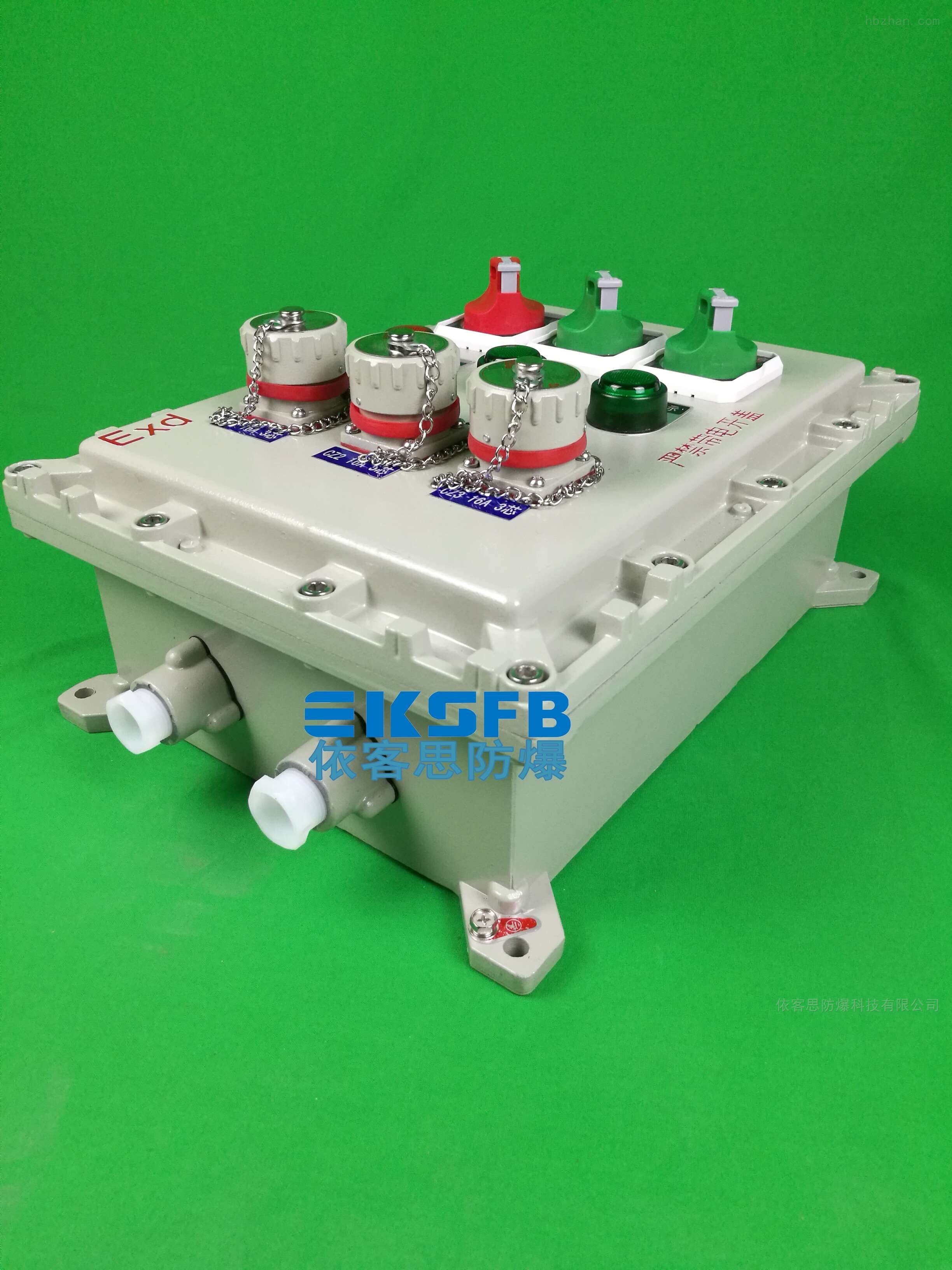 BXK铸铝4回路防爆控制箱-环保在线